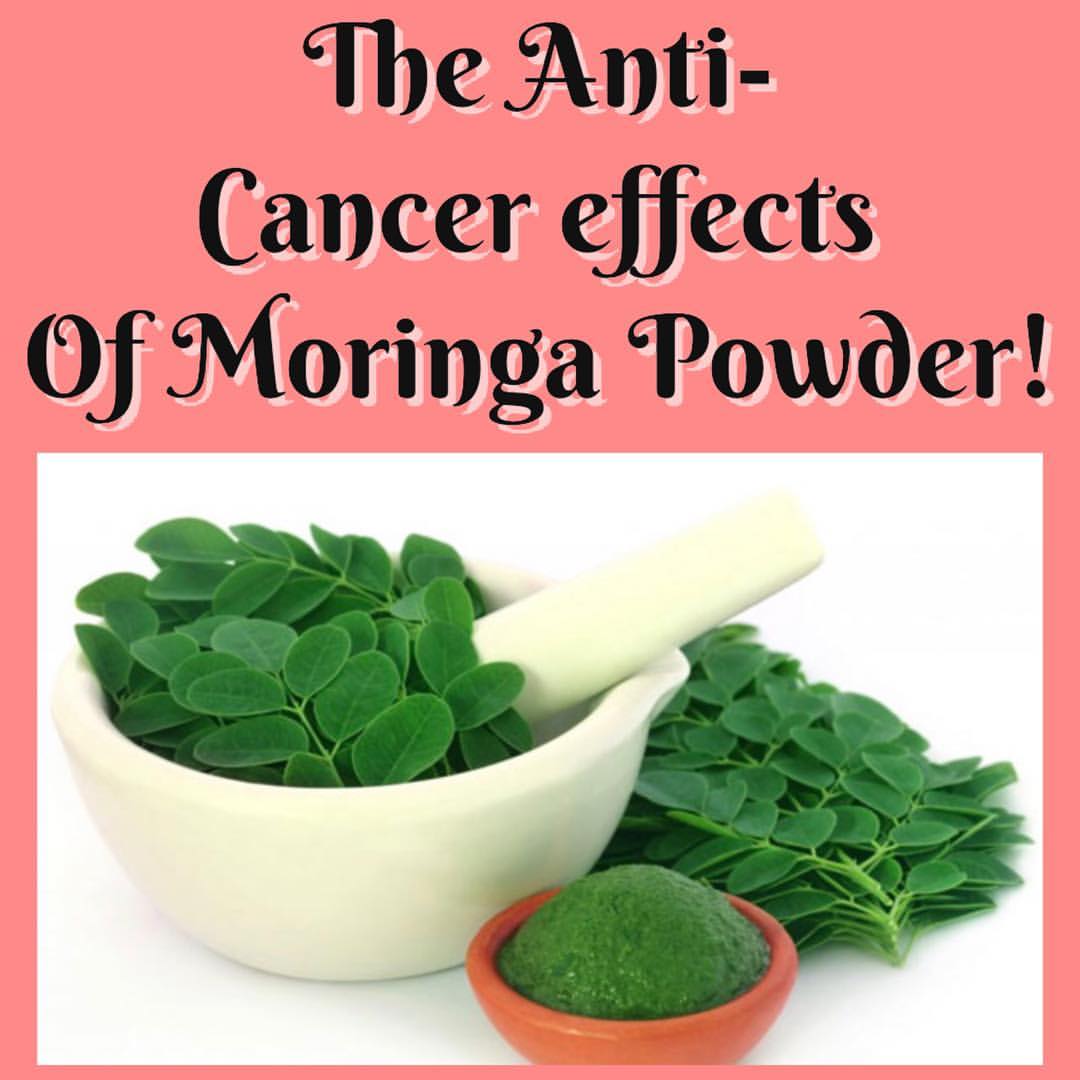 Morifa.co.id | Moringa Leaf on Cancer