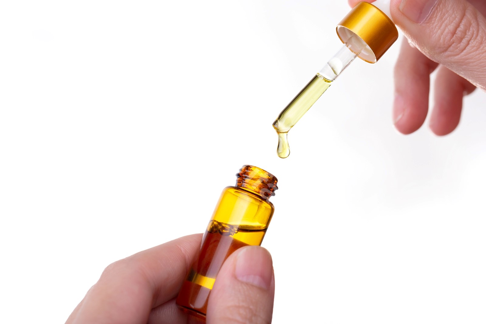 Morifa.co.id | The Moringa Essential Oil Benefits And Uses
