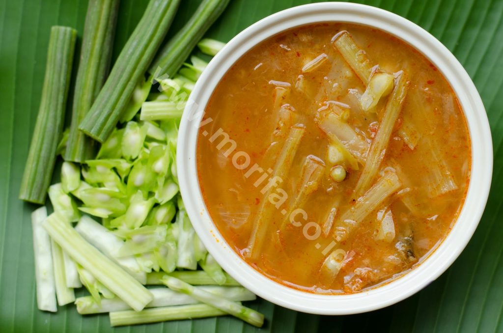 Morifa.co.id | Moringa Recipes For Your Yummy Healthy Intake