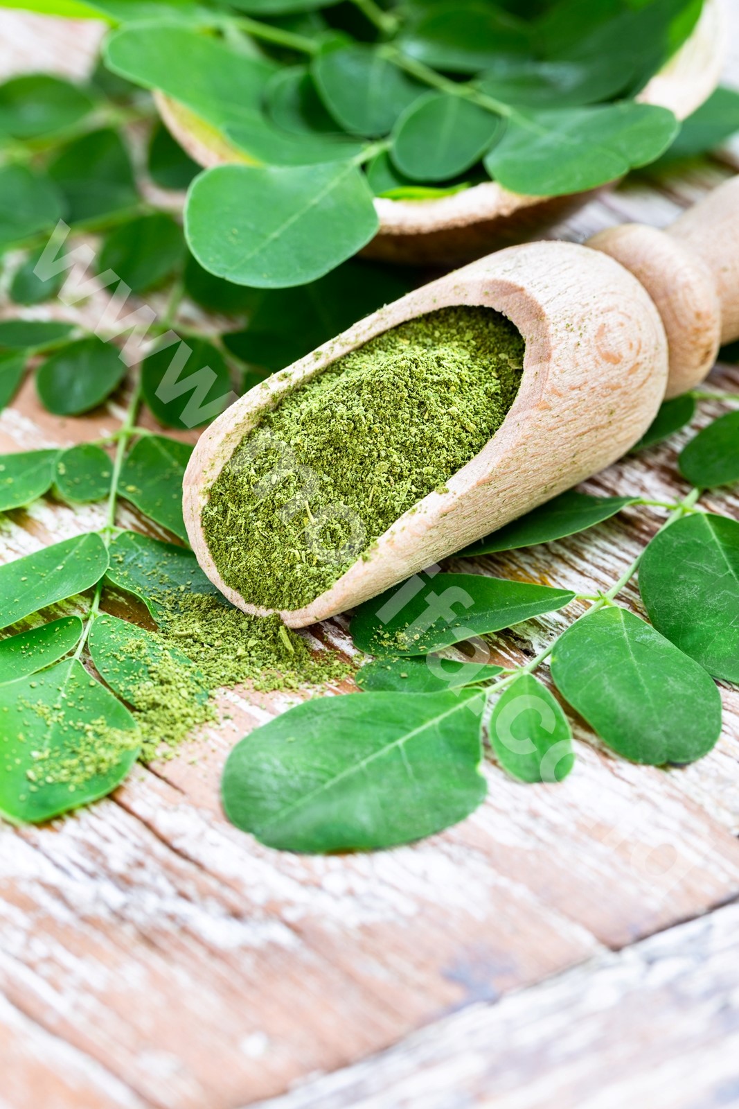 Morifa.co.id | Variety Of Delicious Ways To Process Moringa Oleifera Powder