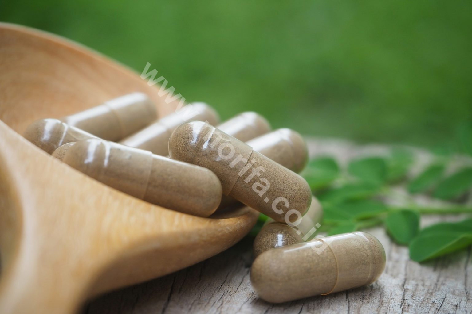 Morifa.co.id | Moringa Oleifera’s Benefits For Men